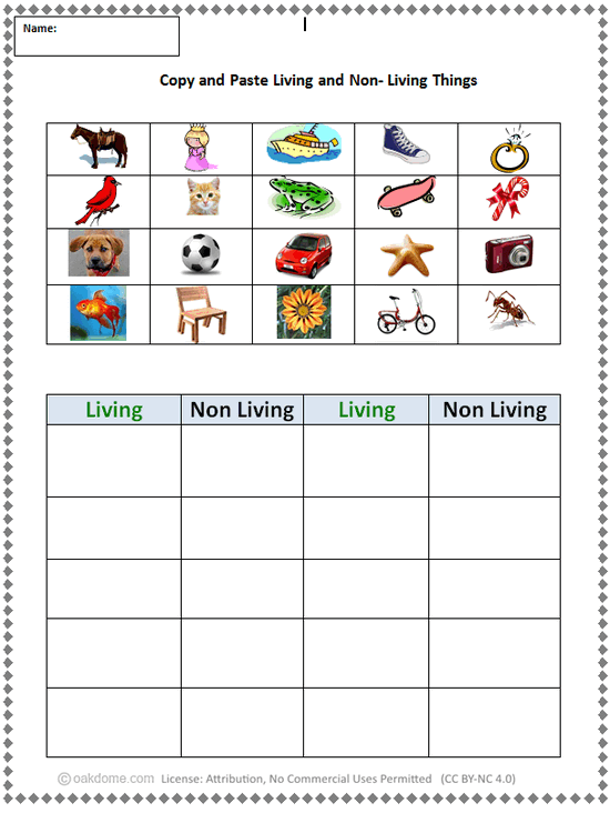 Copy And Paste Practice Living Things K 5 Computer Lab Technology