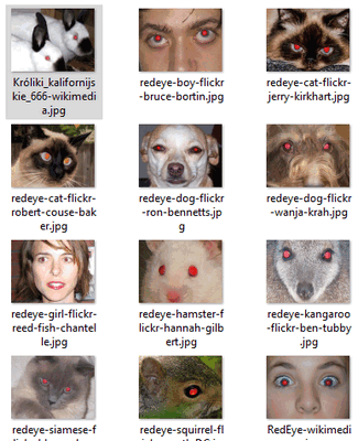 Download: Photo Editing - Red Eye Practice Images