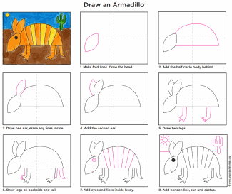 Digital Drawing - Draw an Armadillo Step by Step Visual Guide