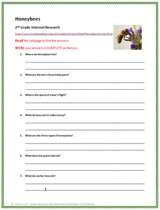 Download: Honeybees Research - 2nd Grade