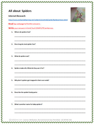 Download: Spiders Research - 2nd Grade
