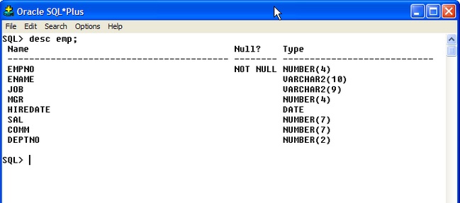 Describe Table Sql Server Fabulousmaha